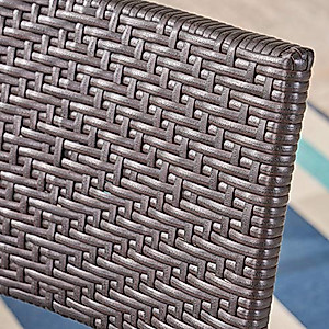 Christopher Knight Home El Paso PE / Iron Dining Chairs, 2-Pcs Set, Multibrown