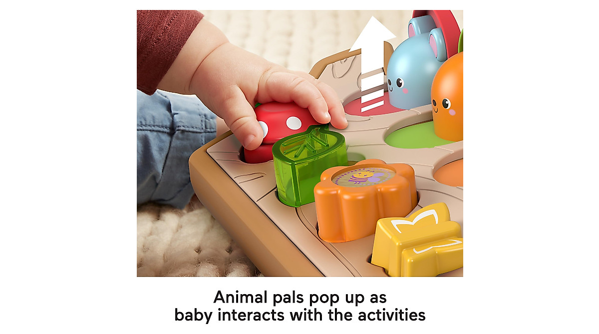 Fisher-Price Hide & Peek Animal Toy for Babies