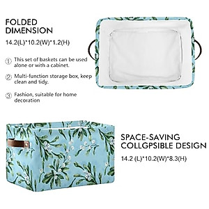 Mistletoe Branches Berries Storage Basket Bins Foldable Decorative Storage Box Laundry Hamper Baskte Storage for Bedroom Office Clothes Pet Nursery Living Room,2 pcs