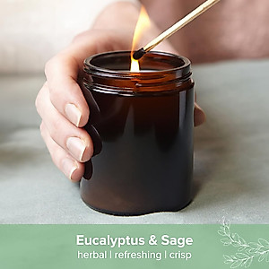 Simply Soson 9 oz Eucalyptus and Sage Scented Candle for Home - Amber Glass Jar - 50 Hour Long Lasting Candles - Jar Candles are The Best Gifts for Birthday, Valentine, Anniversary, Dinner, Parties