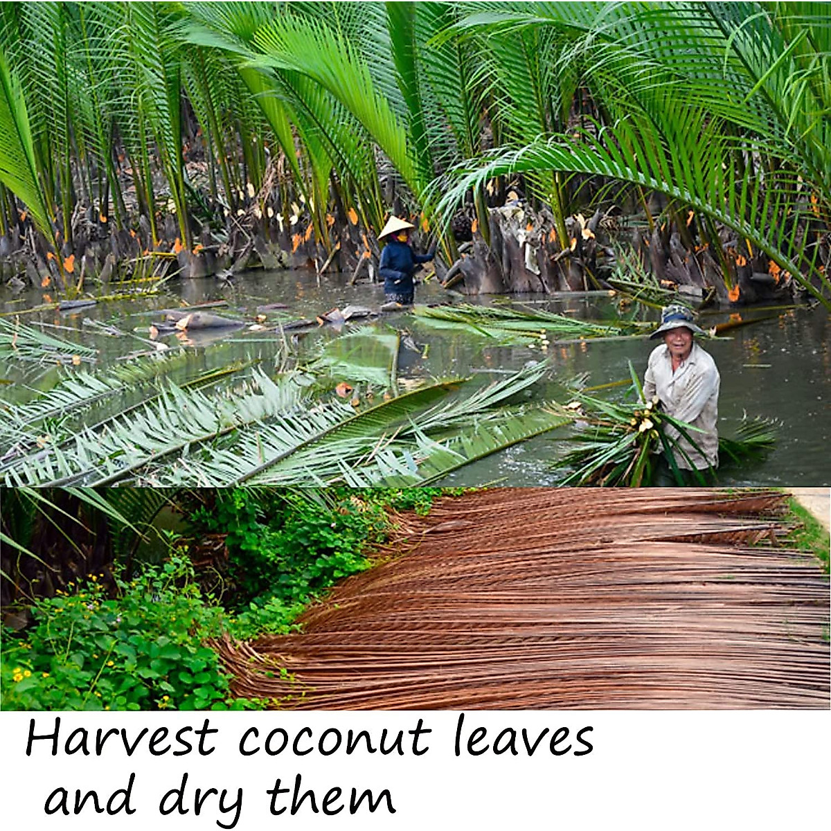 1 Piece of 32 inch Multi-Surface Sturdy Outdoor Authentic Coconut Leaf Broom Asian Heavy Duty Broom Thai Natural Coconut Leaf Broom (Country Rustic)