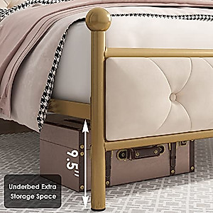 HIFIT Queen Size Platform Bed Frame with Elegant Button Tufted Curved Headboard, Velvet Upholstered Bed Frame with No Noise, Heavy Duty Metal Frame Foundation, No Box Spring Needed, Gold-Beige