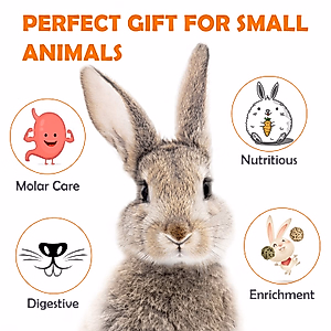 Sofier 32Pcs Timothy Hay Sticks 320g Rabbit Toys Bunny, Guinea Pig Toys Natural Hamster Toys for Teeth Handmade Treats and Chews Chinchilla Rat Gerbil