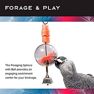 Featherland Paradise | Creative Foraging Systems Hanging Foraging Sphere & Kabob with Stainless Steel Bell, Interactive Bird Treat Toy