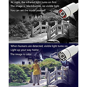 BlueFishCam 4MP PoE IP Camera POE Network Camera Outdoor Dual Lights POE IP Camera Warm/infared Camera Light 4.0MP Infrared High Resolution