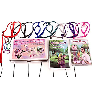 Parrot Wizard Bird Harness Set (XL, Pink)