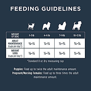 Instinct Raw Boost Toy Breed Grain Free Recipe with Real Chicken Natural Dry Dog Food, 4 lb. Bag