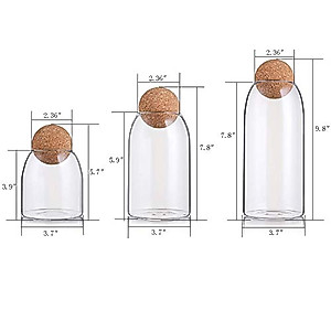 Suwimut 3 Pack Glass Jar with Airtight Cork Lid Ball, Clear Candy Jar Mason Jars Food Storage Canister with Seal Wood Cork Round Stopper for Serving Spice Sugar Salt Tea Coffee, 500ML, 900ML, 1200ML
