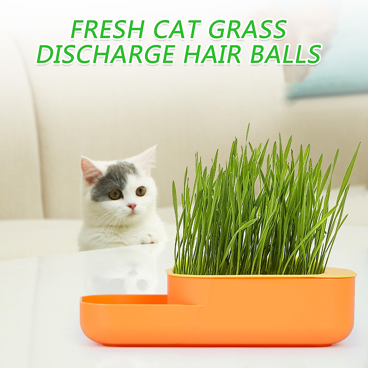 Sozize 2Pcs Hydroponic Cat Grass Planter Wheat Cat Grass Kit Soil Free Seed Sprouting Tray for Cat Grass Indoor Cats (no Seeds Included)