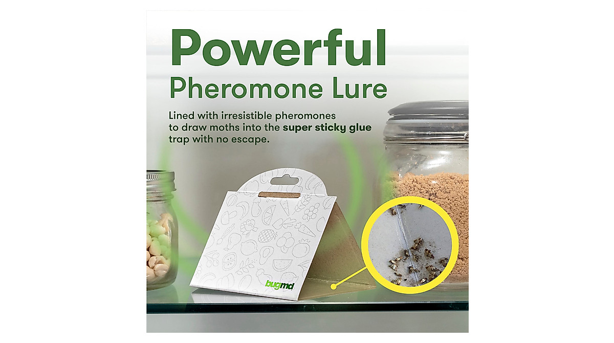 BugMD Pantry Pest Patrol (6 Count, White) - Moth Traps for Kitchen ...