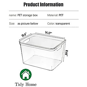 Tidyhome - 2 XLARGE Clear Plastic storage bins with lids- (14inchL×11inchW×9inchH)-Bins Handle for Office, Entryway,Cabinet, Bedroom, Laundry Room, Nursery and Transparent 14.2inchL×11inchW×9inchH