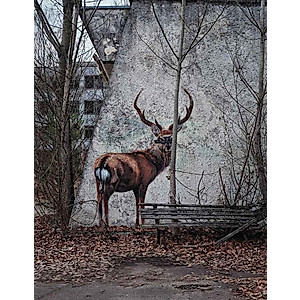 Off-Grid Adventures: 20 Untamed Travel Stories Around the World