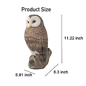 LC LCdecohome Owl Outdoor Statues Garden Yard - Decoration Home Decor Indoor Desk Tabletop Collectible Figurines Ancient Retro Collection 11" x4.5" x5 Inch