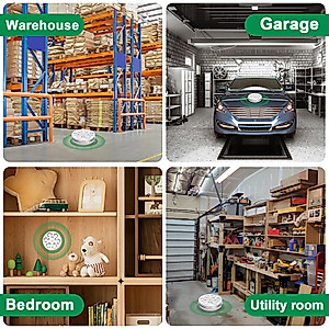 4 Pack Rodent Rat Repellent for Car Engines - Peppermint Oil Mouse Repellent, Rat Repellent Keeping Rodents Out of Car Home Garages Indoor Outdoor, Groundhog Repellent, Safe Ingredients