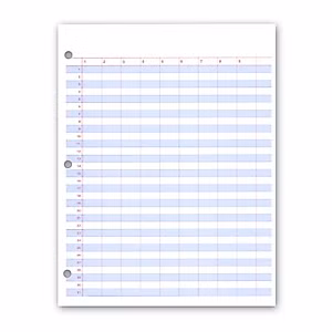 Ampad Evidence Data Pad, Size 8-1/2 x 11, 9 Columns, 31 Numbered Horizontal Lines, 20 Pound Paper, 3 Hole Punched, 50 Sheets (22-206)
