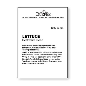 Burpee Heatwave Blend Lettuce Seeds 1000 seeds