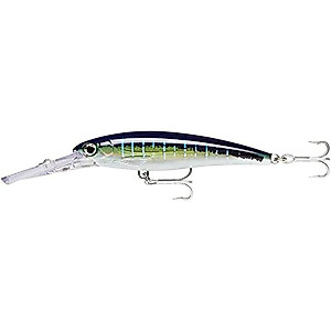 Rapala XRMAG40SFU X-Rap Magnum 40,Sailfish UV