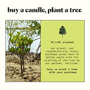 Mala Scented Candles - Cereal Scented Candle - Vegan Soy Candles - Hand Poured Aromatherapy Candle with 45 Hour Burn - 6.8 oz (Classic Size)