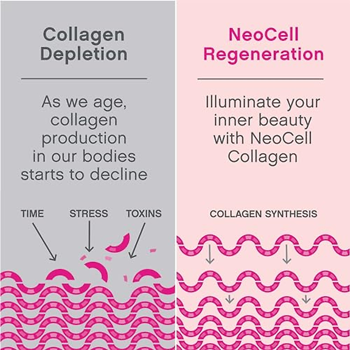 NeoCell Hair, Skin and Nails Beauty Builder With Collagen, Biotin and Vitamin C, Includes Antioxidants, Gummy, Lemon, 60 Count, 1 Bottle