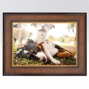 24x15 Royal Brown and Gold Real Wood Picture Frame Width 3 Inches | Interior Frame Depth 0.5 Inches | Faxon Traditional Photo Frame Complete with UV Acrylic, Foam Board Backing & Hanging Hardware