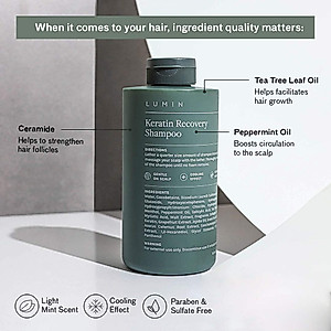 LUMIN - Men’s Keratin Recovery Shampoo (2-Pack): Rehydrate Dry, Damaged Hair and Boost Hair Growth - Formulated with Tea Tree Leaf Oil for a Gentle, Cooling Cleanse.