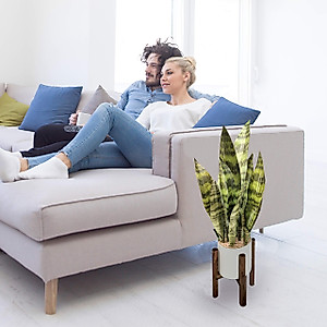 GreenBoxx Artificial Snake Plant Pot, 27" Portable Faux Potted Air-Purifying Indoor Plant | Home Décor Window Wedding Décor Arrangement Garden Ceramic Pot & Stand Included (White Pot, Green-Black)