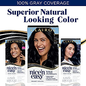 Clairol Nice'n Easy Permanent Hair Dye, 1BB deepest blue black Hair Color, Pack of 1