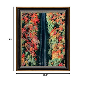 Space Art Deco, 16x20 Ornate Picture Frame Without Mat for 16x20 Photo,Shatter-Resistant Glass Sawtooth Hangers Wall Mount Display(Color Black/Ornate Gold)