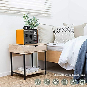 ELINP Industrial Ozone Generator 10,000 mg/h High Capacity Commercial Ozone Machine Odor Removal Deodorizer Ozonator for Home, Cars and Pets