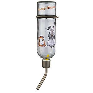 Trixie Honey and Hopper Glass Water Bottle, 500 ml
