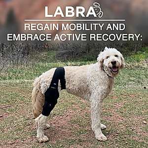 Labra Dog Canine Knee Stifle Brace Wrap, Metal Splint Hinged Flexible Support Brace for K9 ACL, CCL, Luxating Patella, Cruciate Ligament Sprains in Back, Rear, Hind Leg (Extra Large - 75-100lbs)