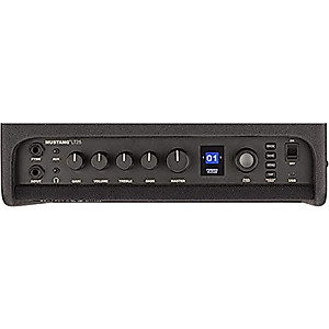 Fender Mustang LT25 Guitar Combo Amplifier Bundle with Instrument Cable and Picks