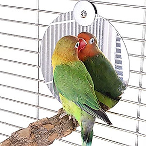 Bird Mirror with Perch Cockatiel Conure Parrot Mirror Toys Cage Perch Chewing Toys Feet Grinding Toys for Amazon Greys