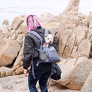 COLLAPSIBLE Dog Bowl 2 Pack Dog Travel Collapsible Bowls, Dog Portable Pet Water Bowl for Outdoors Camping Walking (Small)