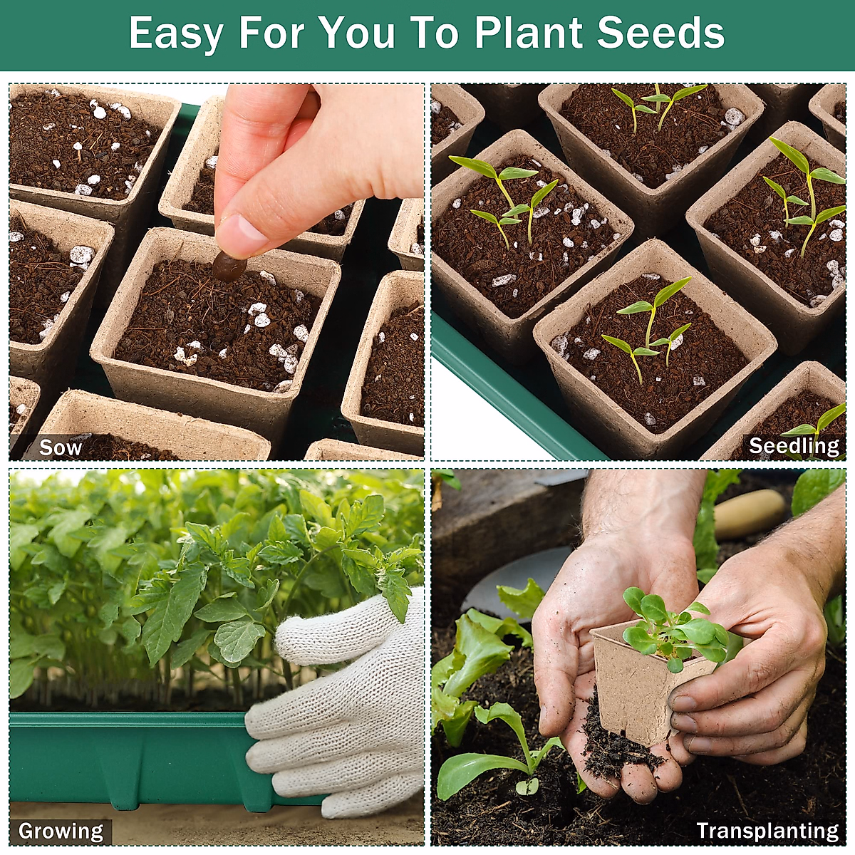 Hahood 6 Pack Seed Starter Tray Kit with 120 Square Peat Pots for Seedlings, Including Plants Labels, Planting Tools, Growing Trays Plastic Germination Tray Paper Starter Pods for Plant Seeds, Green