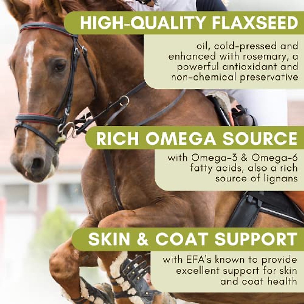 Wholistic Pet Organics Flaxseed Oil: Organic Flaxseed Oil for Horses -Flax Oil Horse Supplement with Antioxidant Rich Rosemary and Omega 3, 6 Fatty Acids for Cardio, Immune, Skin and Coat Health-16 Oz
