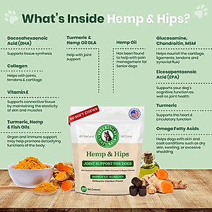 Veterinary Naturals Hemp & HIPS Joint Supplement for Dogs - 60 Soft Chews for Dog Hip and Joint Supplement with Glucosamine for Dogs, MSM, & Turmeric (Rotisserie Chicken)