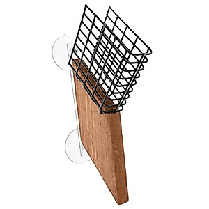 Songbird Essentials Suet Window Feeder
