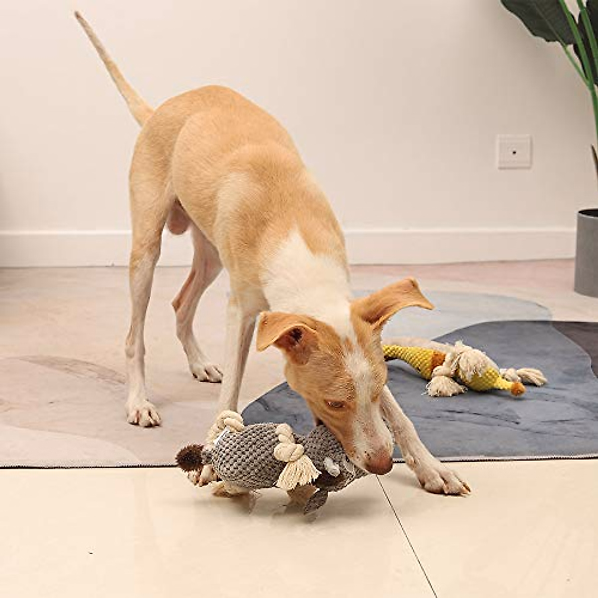 Sedioso Dog Toys, Dog Plush Toy for Large Breed, Cute Squeaky Dog Toys with Crinkle Paper, Dog Chew Toys for Puppy, Small, Middle, Big Dogs (Donkey(Grey))