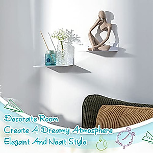 Geelin 4 Pcs Acrylic Floating Shelves White Acrylic Wall Shelf Small Wall Mounted Acrylic Shelves with Adhesive Screw for Wall Corner Bathroom Book Storage Decoration, 7.9 x 4.7 x 1.6 inches