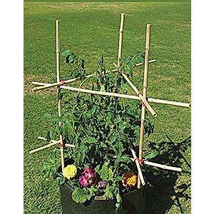 Garden Things GC-2003 Stretch Rubber Plant Stake Connecter, 3-Hole, Black