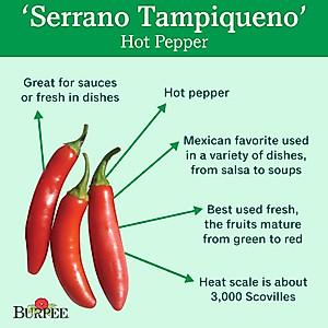 Burpee Serrano Tampiqueno Hot Pepper Seeds 30 seeds