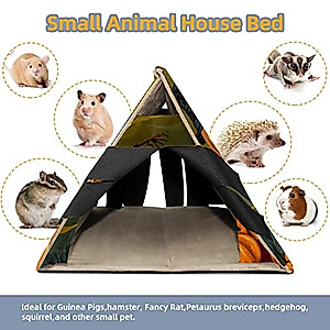 RATGDN Small Pet Hideout Scary Halloween Pumpkin Hamster House Guinea Pig Playhouse for Dwarf Rabbits Hedgehogs Chinchillas
