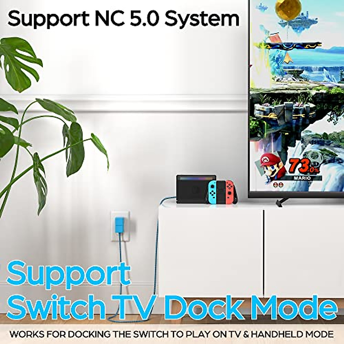 Neptune Premium Gaming Charger - Compatible with Nintendo Switch/Switch Lite/Switch OLED, Android, Supports Nintendo Switch Dock 15V2.6A Fast Charger 5FT Type C AC Adapter Cable for Switch… (Blue)