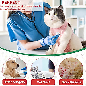 Hpetppy Cat Recovery Suit for Spay Abdominal Wounds, Kitten Onesie Bodysuit for Cats After Surgery, Cat Surgery Recovery Suit Female Cone of Shame Alternative for Cats Anti Licking (Pink,M)