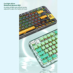 Acogedor Bluetooth / 2.4Ghz Wireless/Type - C Wired Mechanical Gaming Keyboard, RGB Hot - Swappable, Gasket Structure, 80 Keys, Transparent Case, 2 Layers Keycaps (Green)
