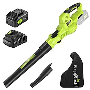Cordless Blower & Vacuum - SnapFresh 2 in 1 Electric Blower with 4.0Ah Lithium Battery & 2h Fast Charger, 20V Handheld Vacuum Sweeper with Bag for Small Trash, Car, Dust, Pet Hair, Corner Cleaning