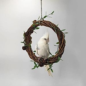 Round Bird Swing, Natural Willow Branch Chewing Bird Toys, Hanging Climbing Cage Parrot Perch Play Stands for Small Parrots Lovebirds Conures Parakeets (Large)