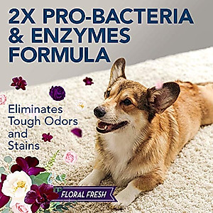 Simple Solution Pet Stain and Odor Remover | Enzymatic Cleaner with 2X Pro-Bacteria Cleaning Power | Floral Fresh, 32 Ounces