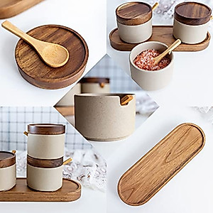 ISABETTA 3 Pcs Sugar Bowls Ceramic Condiment Pots，Ceramic spice jar，Ceramic Seasoning Jar with Wooden Lid Spoon and Tray for Home and Kitchen